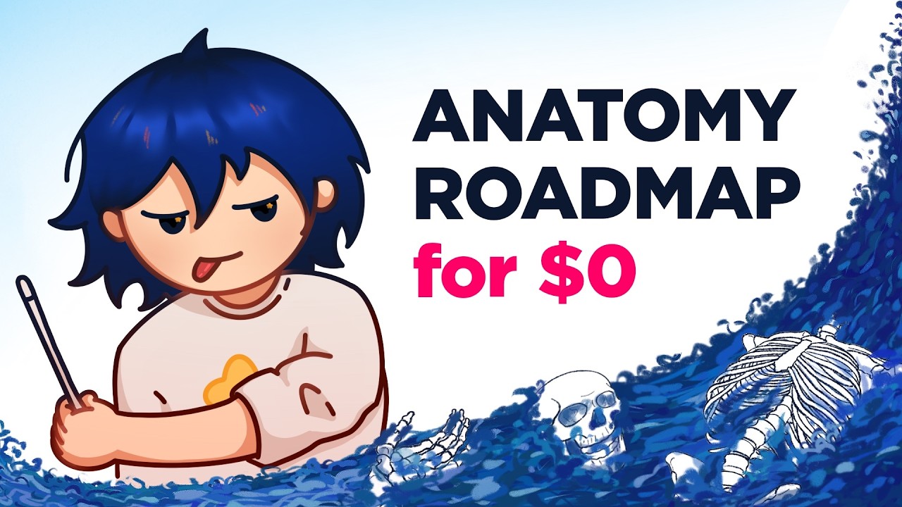 How I Learn Anatomy Without Spending Money