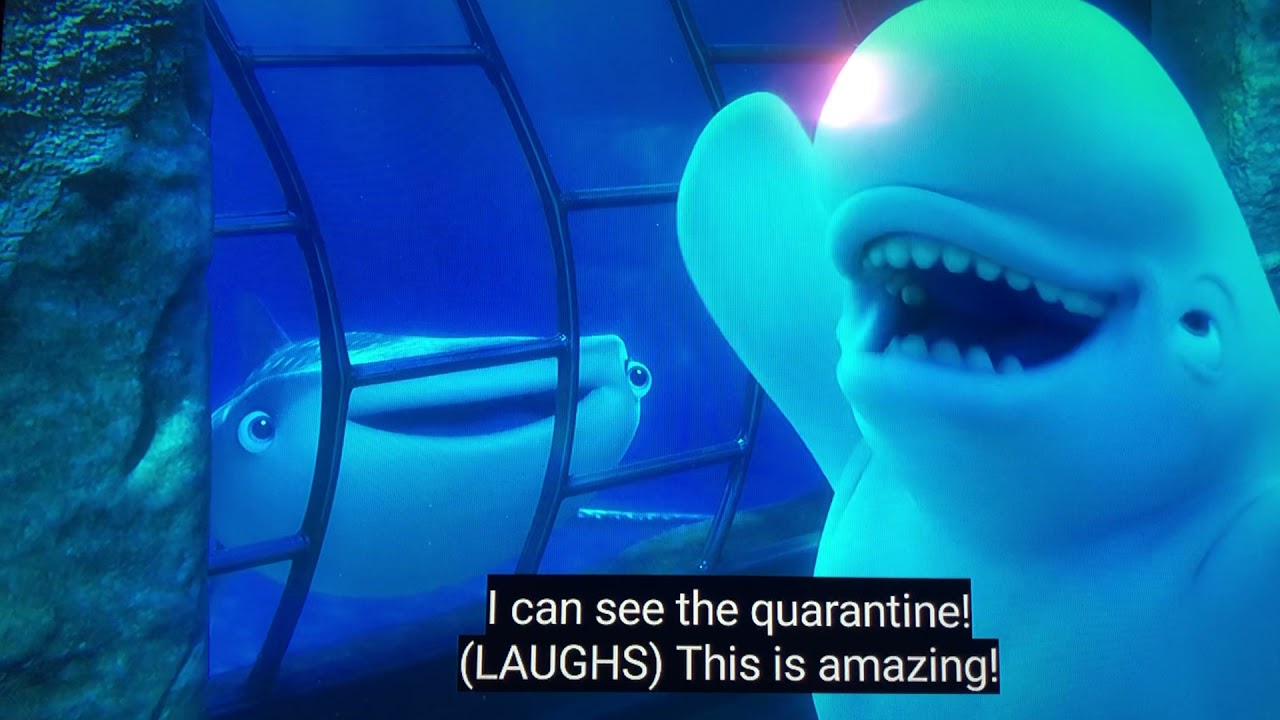 Finding Dory Echolocation