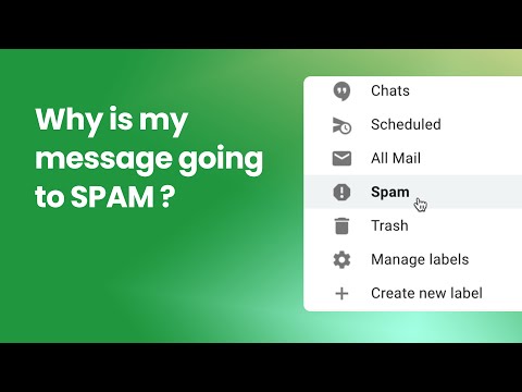 Why your email is going to the SPAM folder (and how to fix it!)