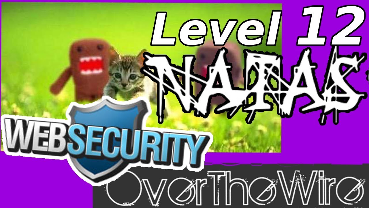 Python Web Hacking: File Upload Remote Code Execution | Natas: OverTheWire (Level 12)