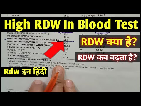 Rdw blood test hindi || High RDW In Blood Test || Rdw test means || Rdw test report