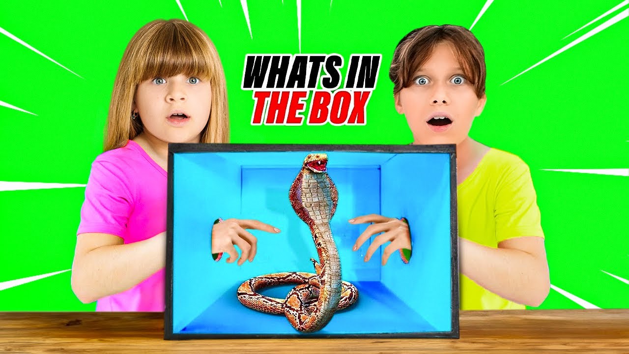 Diana MYSTERY BOXES CHALLENGE 📦 Choose and Guess what's inside?