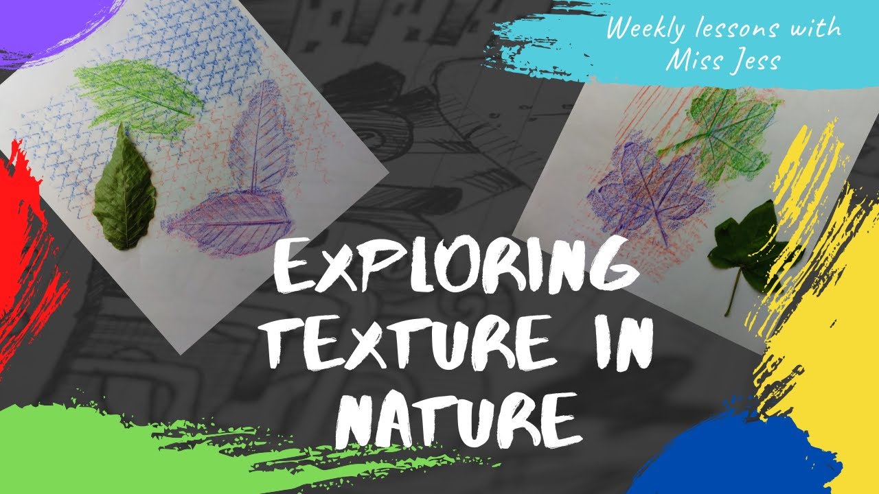Exploring Texture in Nature