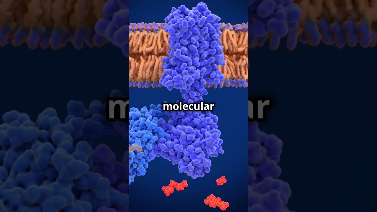 AI in Biotechnology Revolutionizing #ai  #biotechnology  #drugdevelopment #artificialintelligence