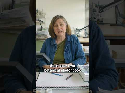 Expert top tips for getting started with botanical art #kewgardens #howto #art