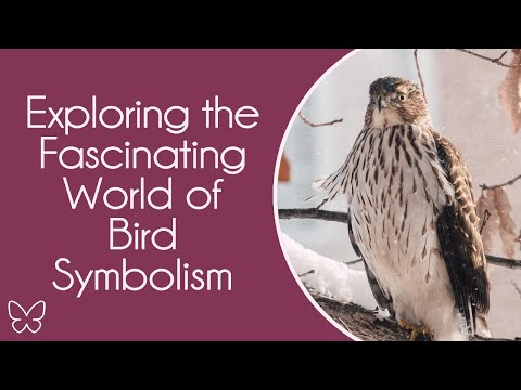 Exploring the Fascinating World of Bird Symbolism