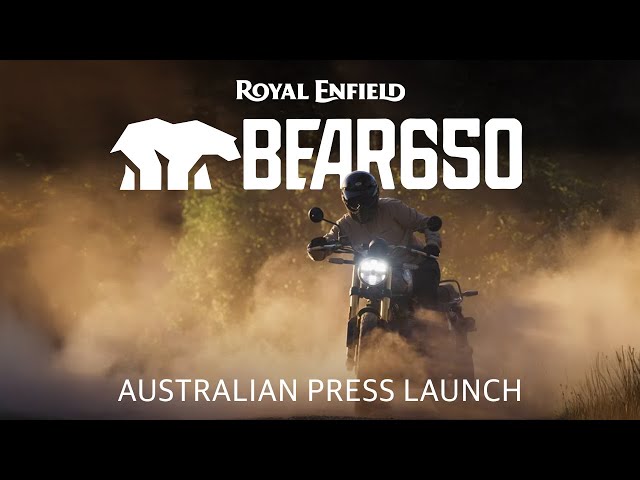 Bear 650 | Desert Scrambler | Pre-Order Now