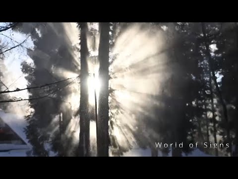 SIGNS/BIRTH PANGS | TRADCATKNIGHT/ORDER OF THE EAGLE