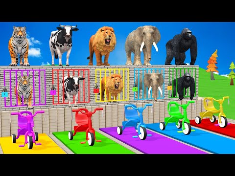 Long Slide Game With Elephant Cow Lion Gorilla Tiger - 3d Animal Game - Funny 3d Animals