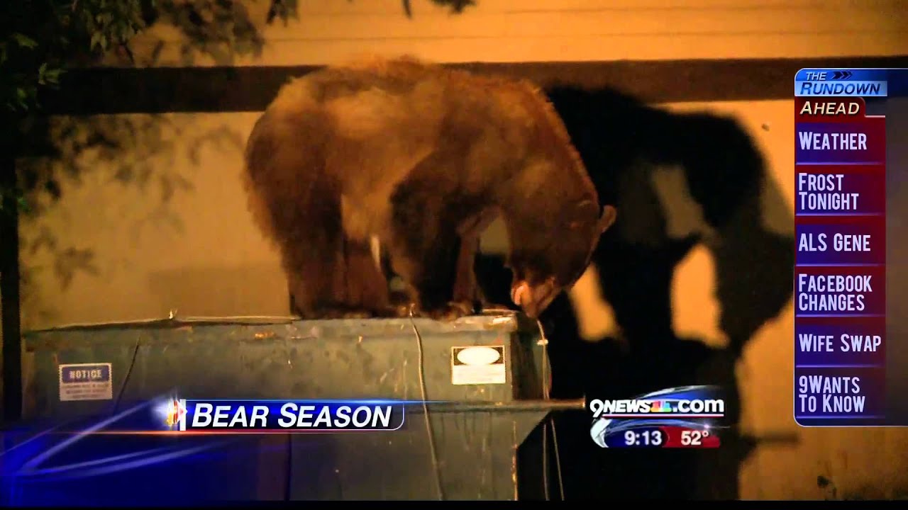 The Bears from Crestone