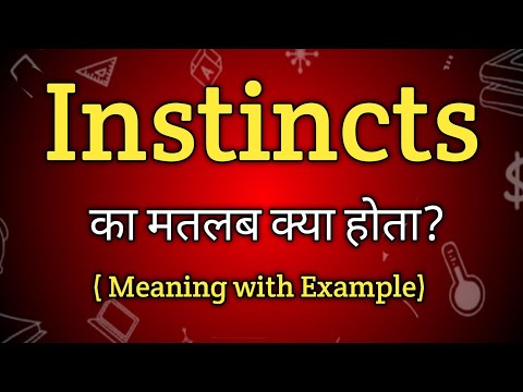Instincts Meaning in Hindi | Instincts Ka Matlab kya Hota hai | English to Hindi dictionary