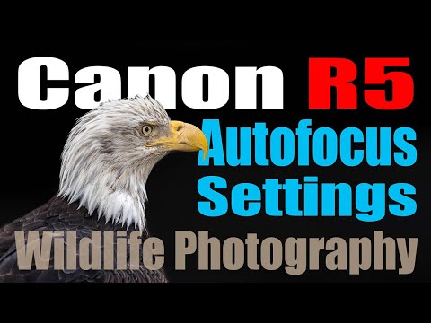 Canon R5: Autofocus & button layout (wildlife photography) (4147C002)