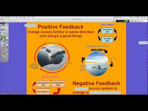 Unit 3 Pt 2 Systems, Feedback Loops, and Matter AP Environmental Science