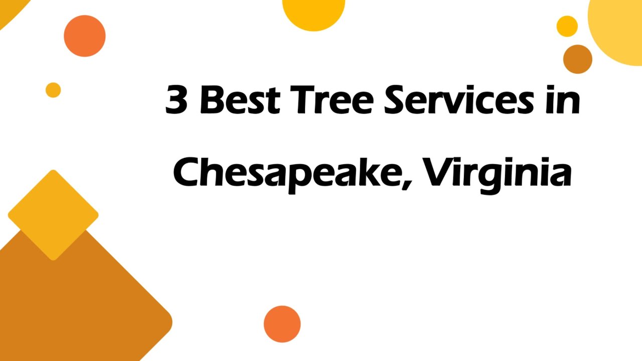 3 Best Tree Services in Chesapeake, Virginia | Arborists