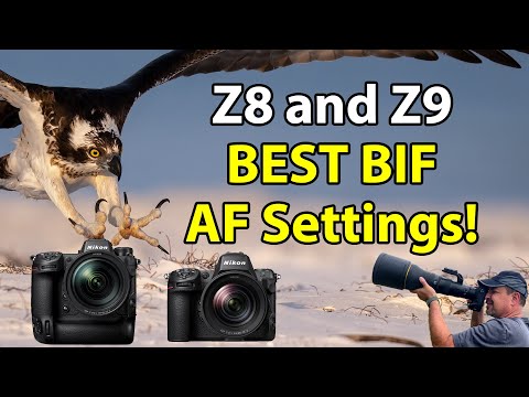 Nikon Z8 & Z9: Bird in flight autofocus settings (1695)
