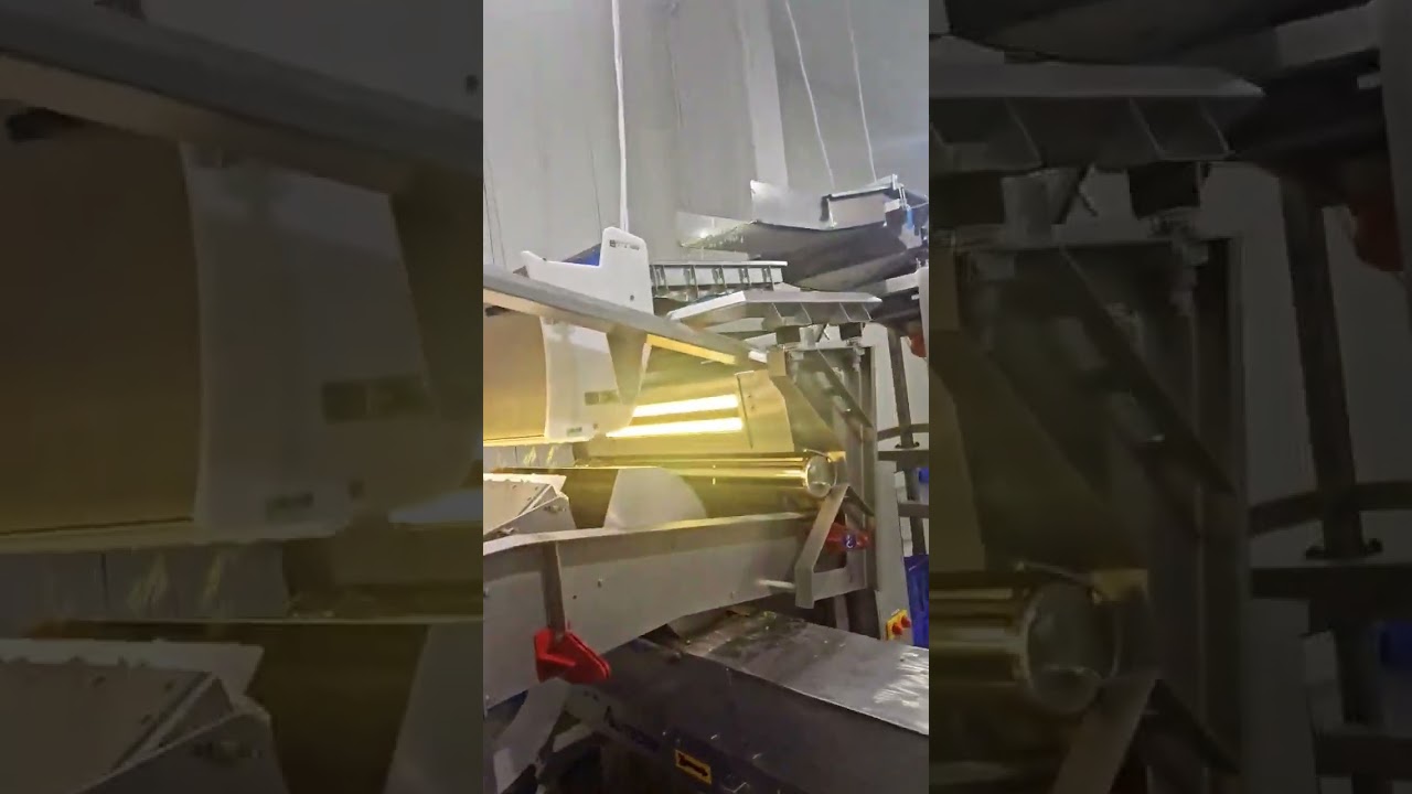 TOMRA Blizzard in Action | IQF Frozen Peas Sorting with LED & SWIR Tech