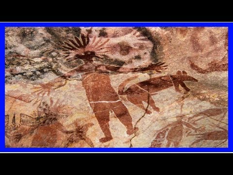 How did the dingo get to australia?