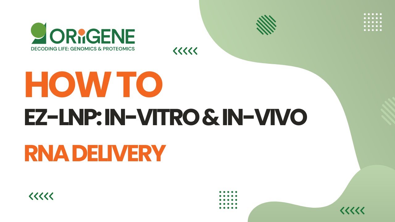 How To Use the EZ-LNP™ Transfection Kit — Instrument-Free RNA Delivery in Under 1 Minute