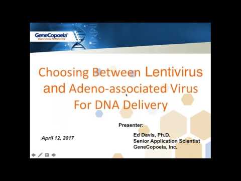 Choosing Between Lentivirus and Adeno associated Virus For DNA Delivery