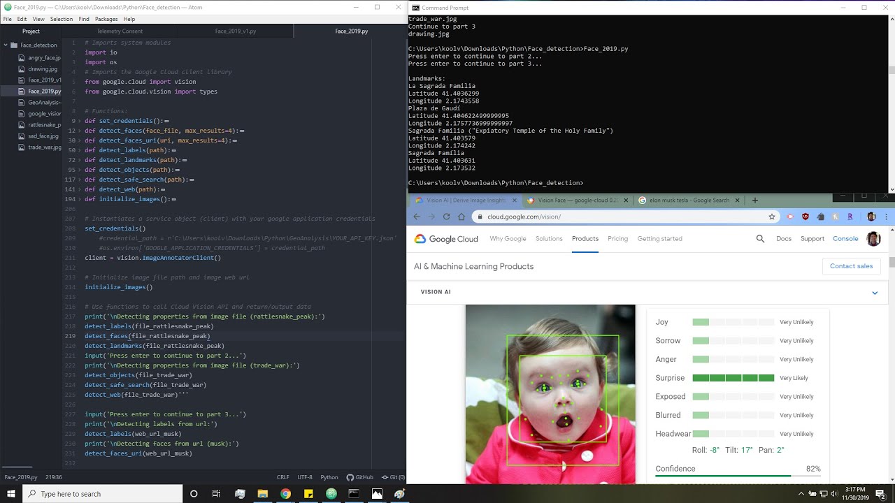 Google Vision API Face Detection Python Tutorial