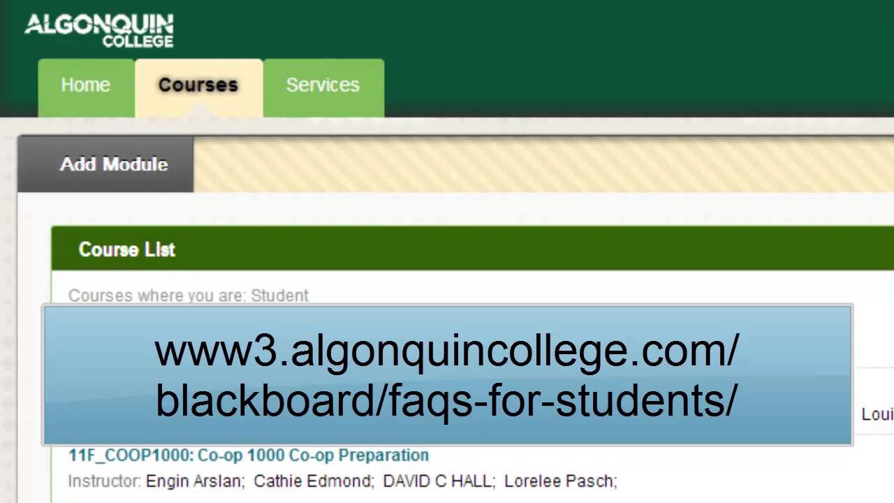 Getting Started with Blackboard