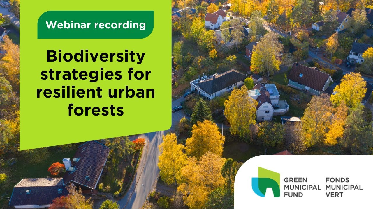Webinar recording: Biodiversity strategies for resilient urban forests
