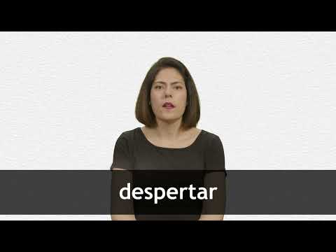English Translation of “DESPERTAR” | Collins Spanish-English Dictionary