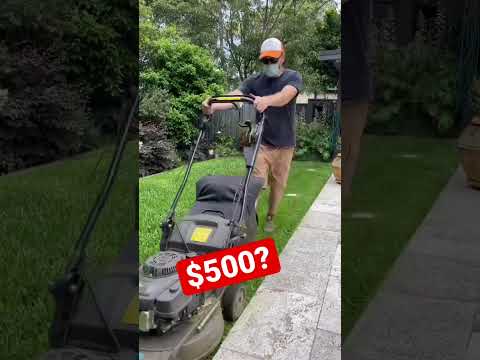 How goods this turf! #shorts #youtubeshorts #shortvideo #lawncare #lawn #turf #grass #rasen #fyp