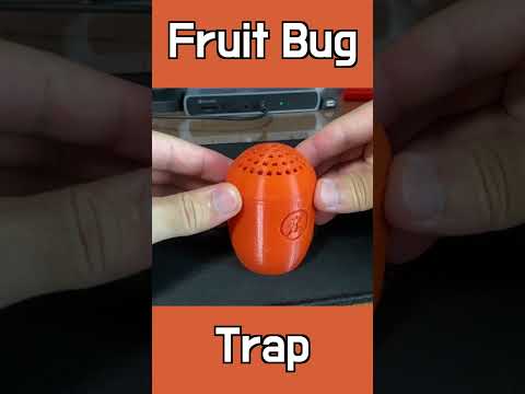 3D file Fruit fly trap!・3D printing idea to download・Cults