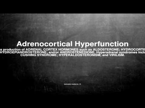 Medical vocabulary: What does Adrenocortical Hyperfunction mean