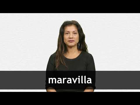 English Translation of “MARAVILLA” | Collins Spanish-English Dictionary