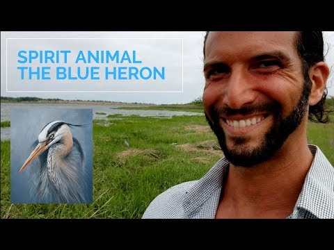 Spirit animals: The Blue Heron | Power of Resiliency 5th dimension
