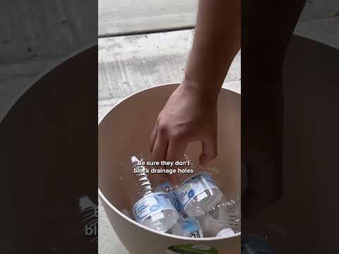 Why You Should Fill Flower Pots With Empty Water Bottles