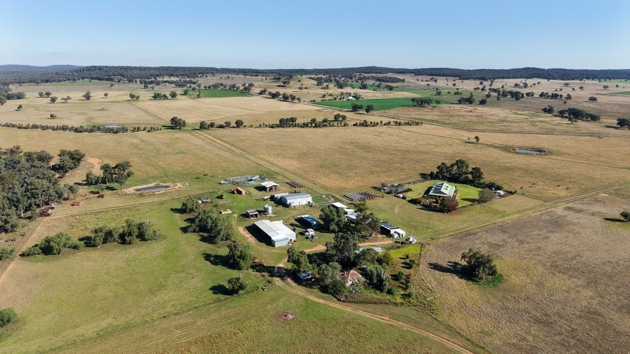 3761 Neilrex Road, Neilrex, NSW, 2831 – For Sale | Elders Real Estate