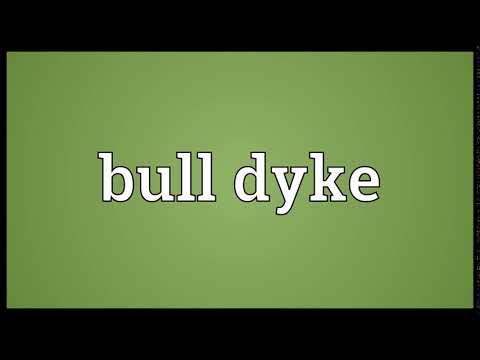 Bull dyke Meaning | Wordogram