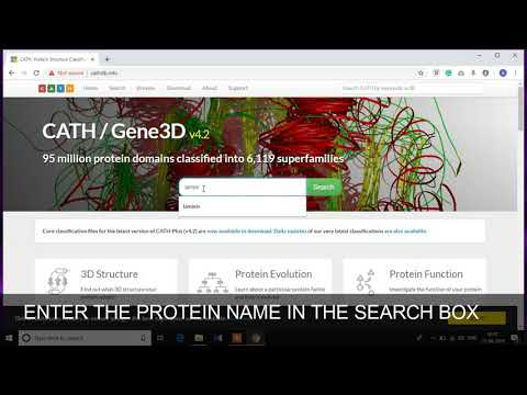 MOTIF FINDING, CATH, SCOP