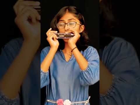 #Godfather theme #harmonica cover