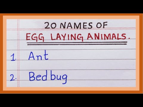 Names of Egg laying Animals | 20 Names of Egg Laying Animals in English | Oviparous