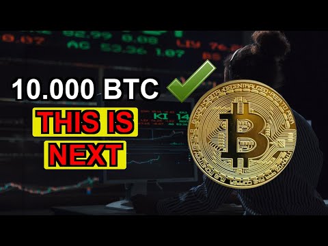 Metaplanet 101: Is the CRAZIEST Corporate Bitcoin Play Ever?