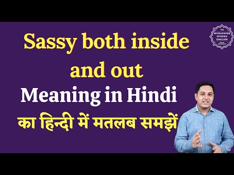 Sassy both inside and out meaning in Hindi | Sassy both inside and out ka matlab | English to hindi