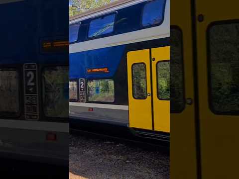 DON'T DO THIS AT HOME! @madmickshere #Trainline #TrainTrack #Trains #Travel #Budapest #Railway