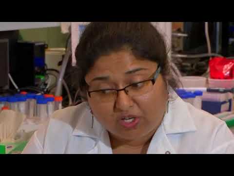 Bioengineers Create Sensor That Measures Perspiration to Monitor Glucose Levels