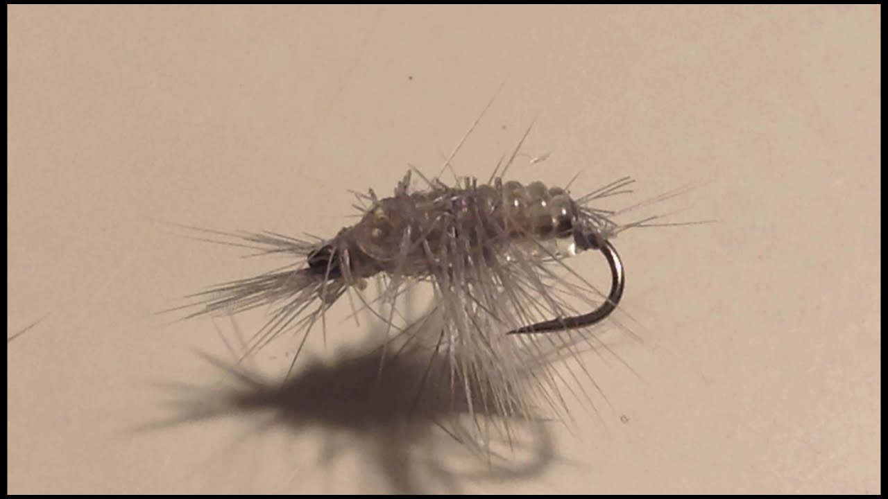 Dan's Easy Scud | A Simple Fly Pattern