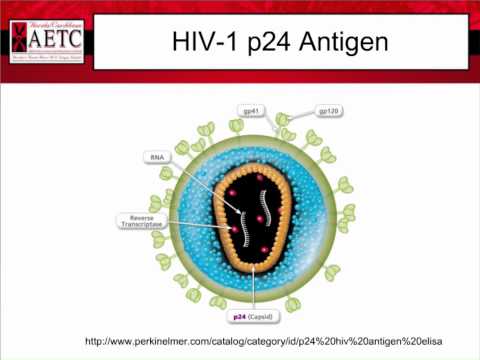 CDC Routine Testing Guidelines and Revised Testing Algorithm
