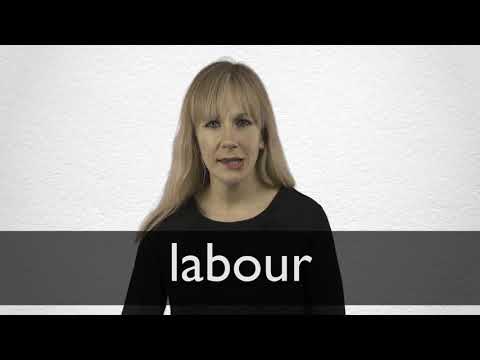 LABOUR Synonyms | Collins English Thesaurus