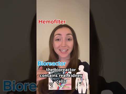 The Future of Dialysis? The Artificial Implantable Kidney Explained!