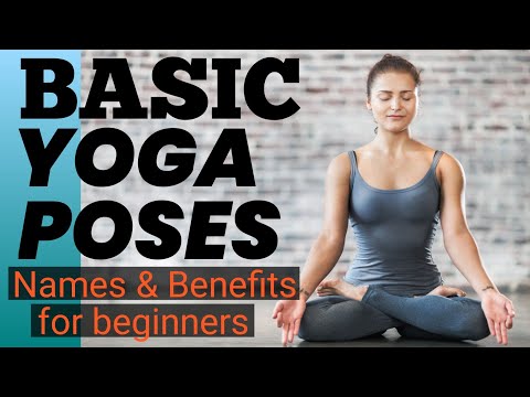 INTERNATIONAL YOGA DAY| BASIC YOGA POSES WITH NAMES AND BENEFITS FOR BEGINNERS |YOGA DAY