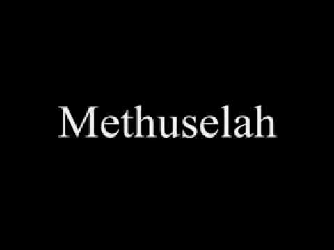 Amazing Hidden Message in Genesis