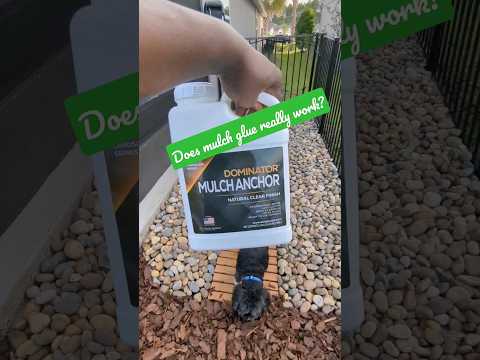 Does Mulch Glue really work on rocks? #lawntimecomimg #lawncare #mulchglue