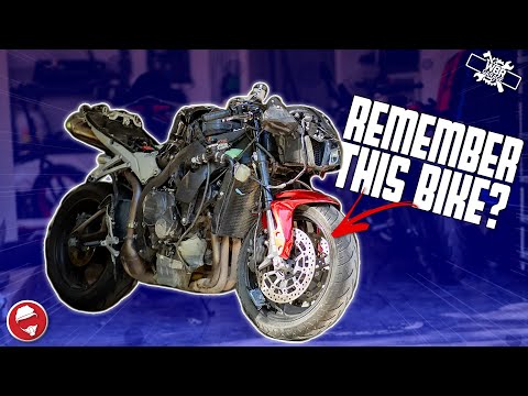 We HAVE to talk about our CBR600RR build...